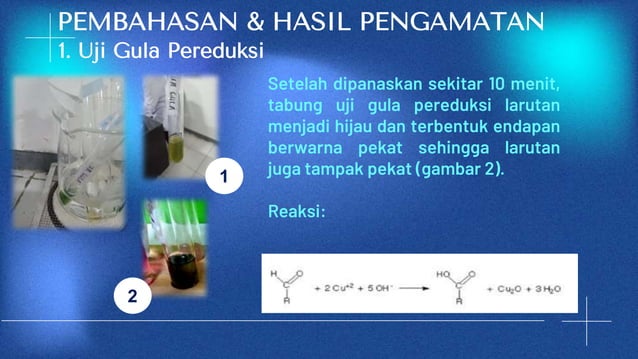 Urine Experiment | PPT