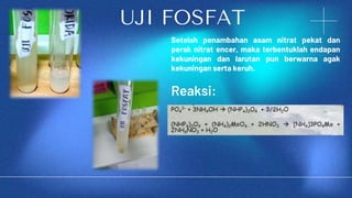 Urine Experiment | PPTX