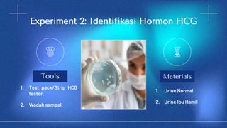 Urine Experiment | PPTX