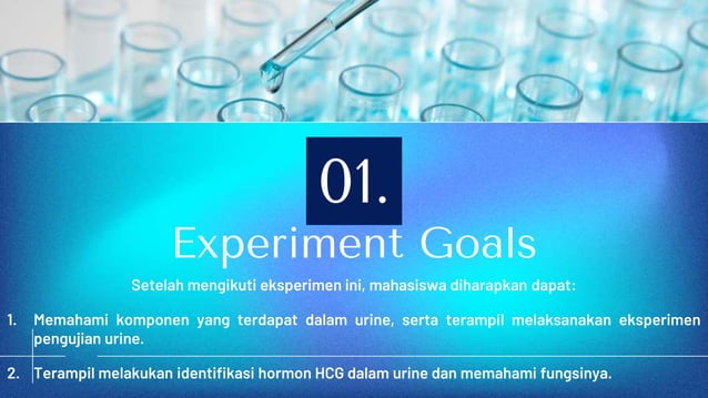 Urine Experiment | PPT