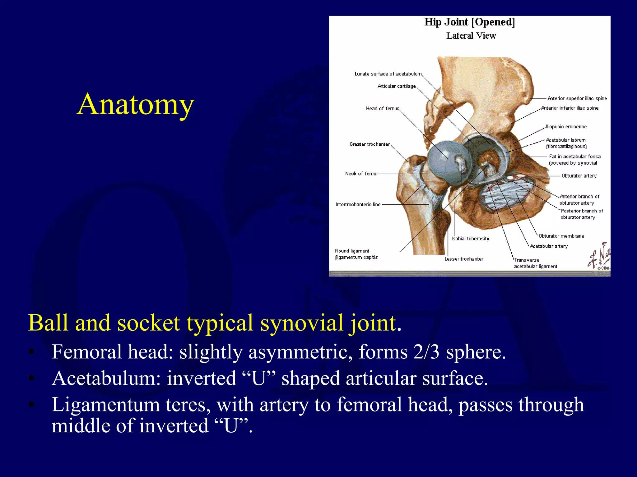 Management of Hip Dislocations | PPT
