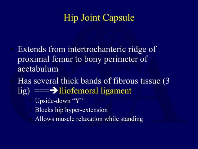 Management of Hip Dislocations | PPT