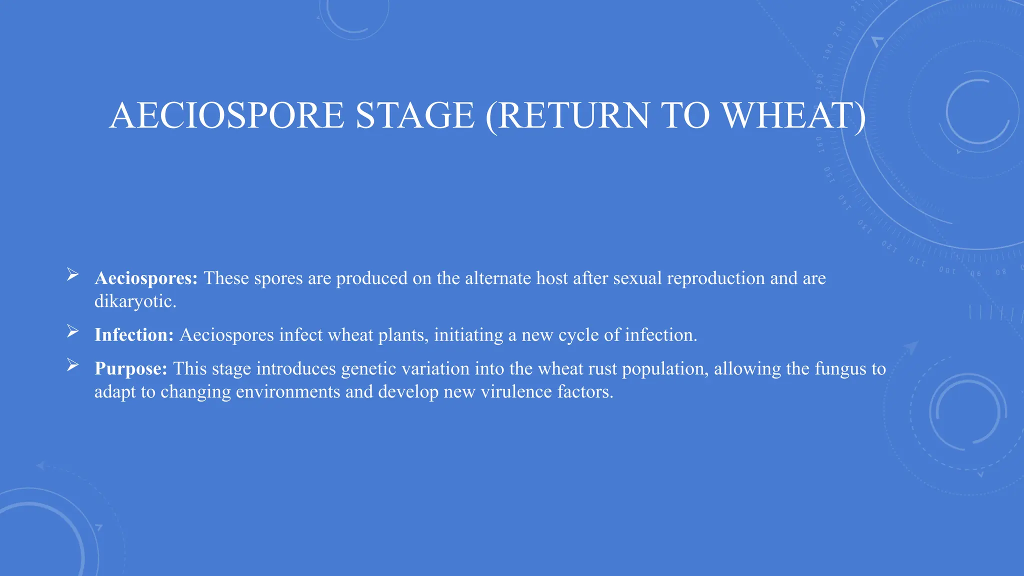 TEAM 5 WHEAT RUST COMPLETE.pptx diseases | PPTX