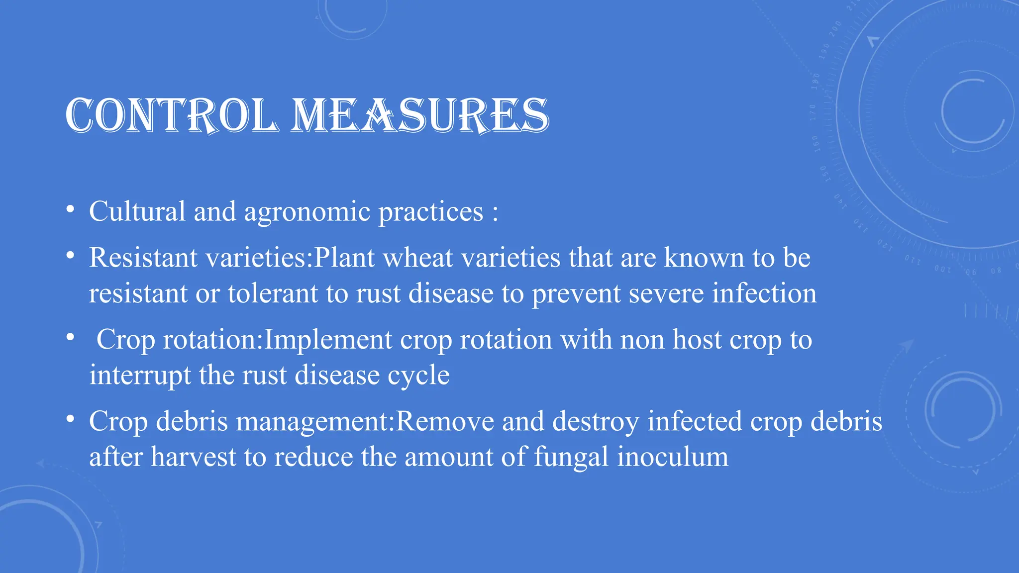 TEAM 5 WHEAT RUST COMPLETE.pptx diseases | PPTX