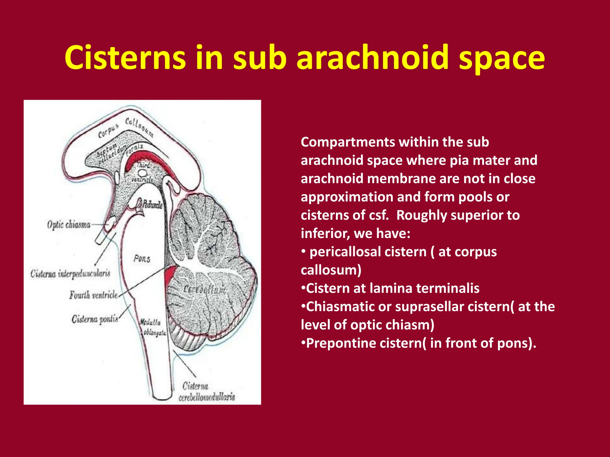 Subarachnoid Hemorrhage - Radiology | PPTX