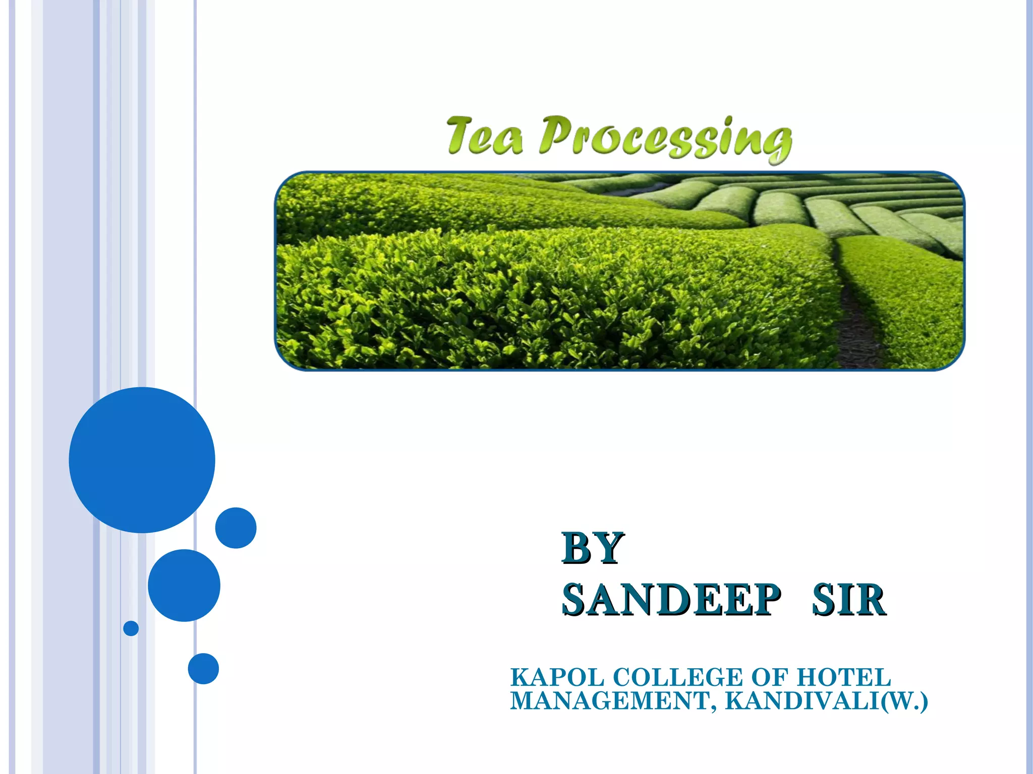 Tea Making Process | PPT