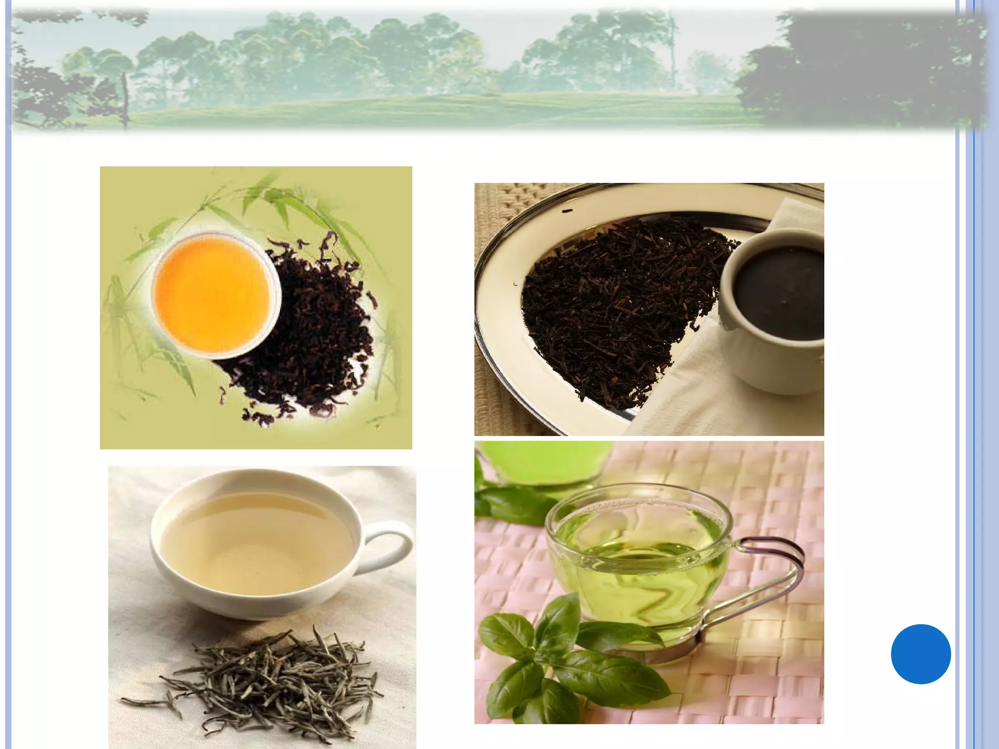 Tea Making Process | PPT