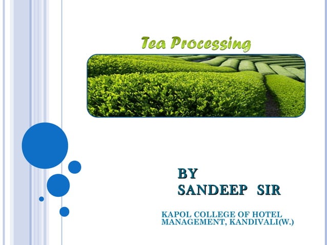 Tea Making Process | PPT | Asia Travel | Travel Locations