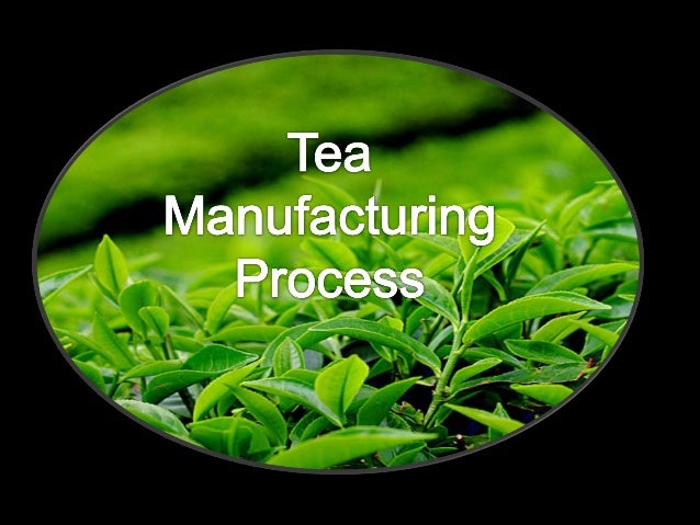 Tea Making Process