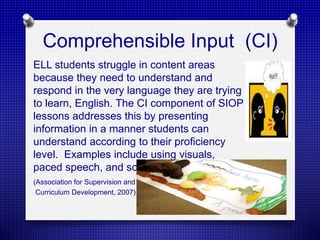 Team a language proficiency summary | PPT