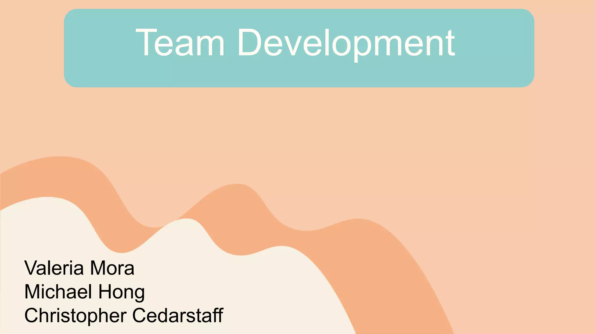 Team Amber Presentation | PPT