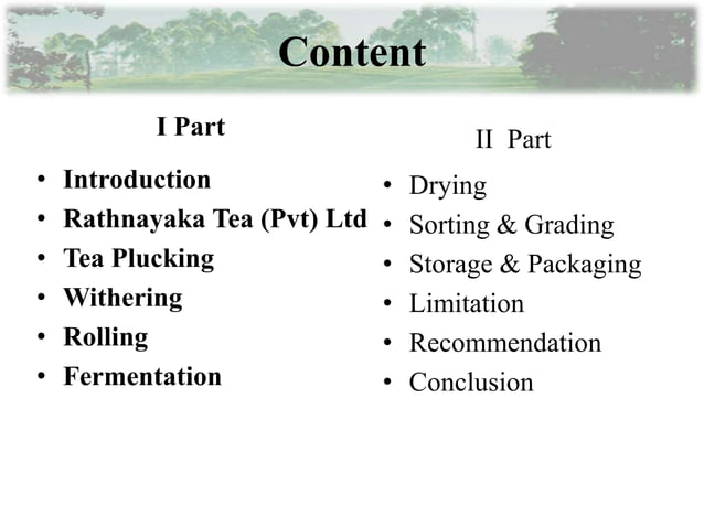 Tea manufacturing process part 1 | PPTX