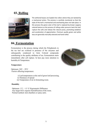 Tea manufacturing process part 1 | DOCX