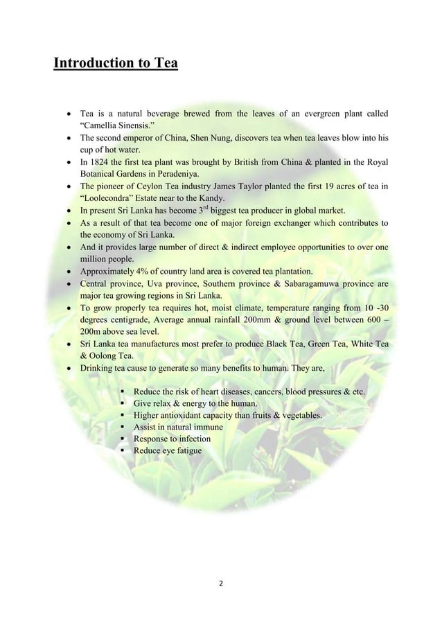 Tea manufacturing process part 1