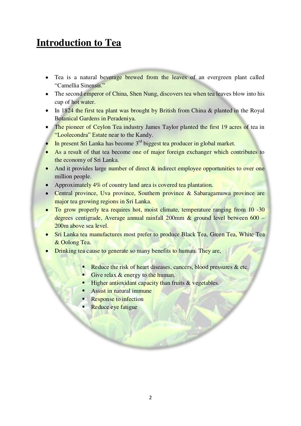 Tea manufacturing process part 1