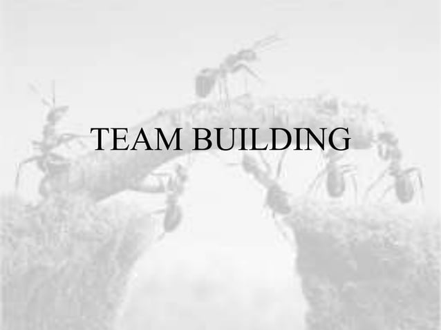 Boost Team Performance Through Building | PPT