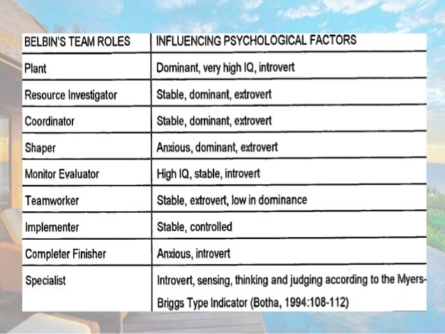 Teambuilding - Meredith Belbin framework and application
