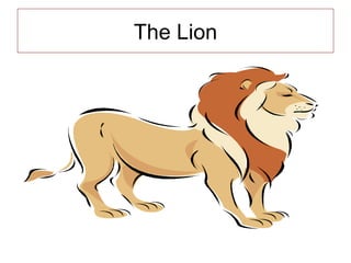Team building animal characteristics(1) | PPT