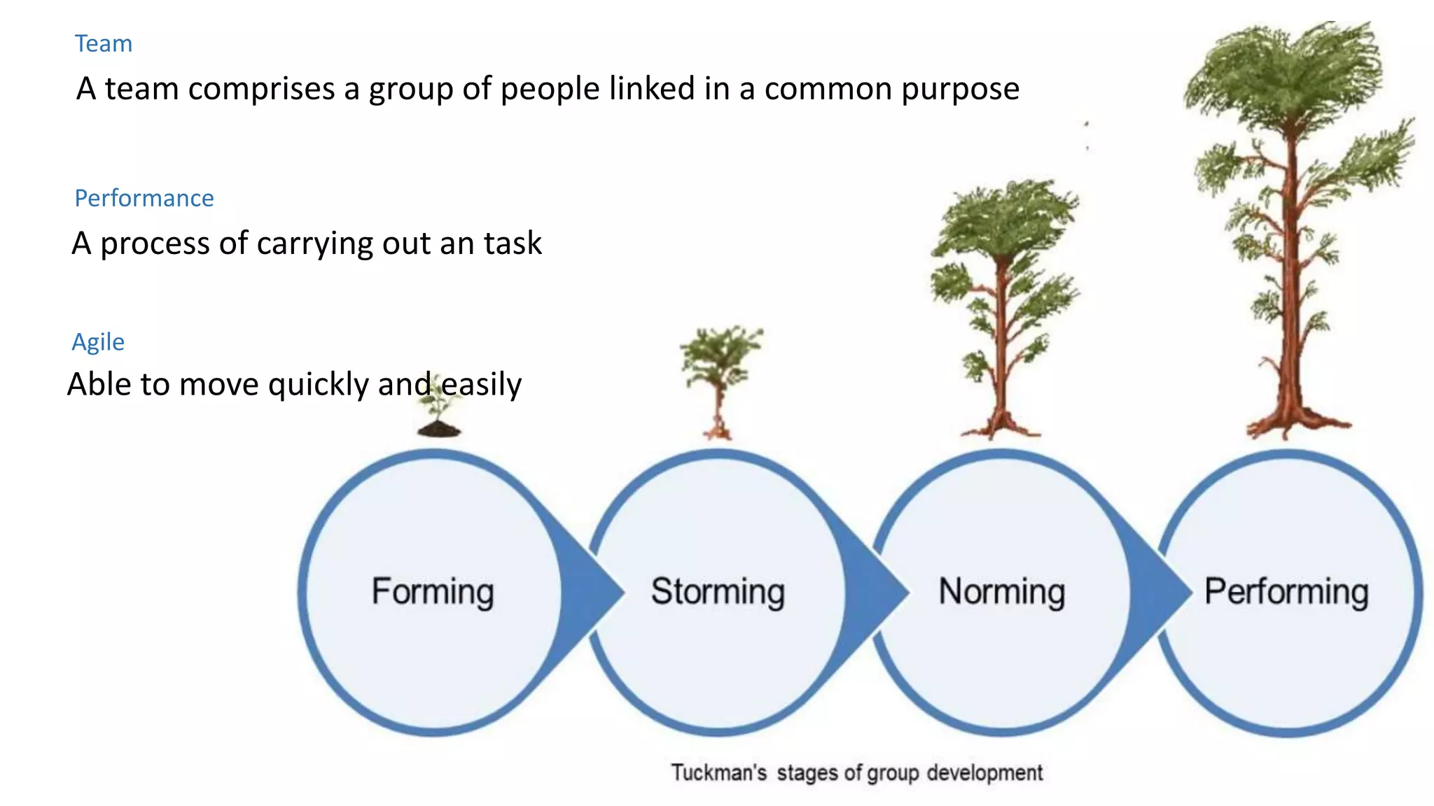 Team building in agile teams make sense, but WHY? | PPTX