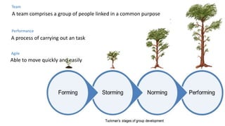 Team building in agile teams make sense, but WHY? | PPTX