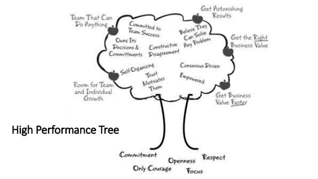 Team building in agile teams make sense, but WHY?