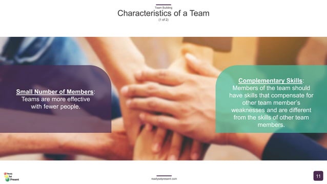 Team Building (Comprehensive) PowerPoint Presentation 150 slides with 4 ...