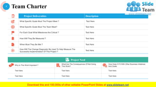 Team Capability Assessment PowerPoint Presentation Slides | PDF
