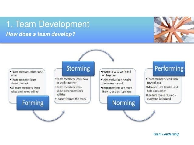 Team development