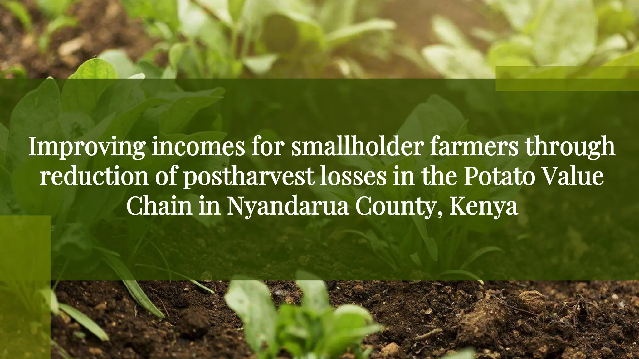 Improving the incomes for smallholder farmers through reduction of ...