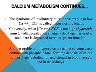 Team Holy Spirit - C.Pathology.pptx11111 | PPTX