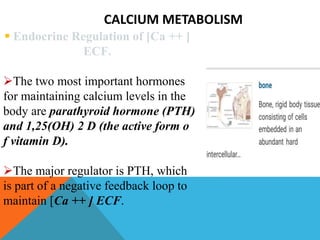 Team Holy Spirit - C.Pathology.pptx11111 | PPTX