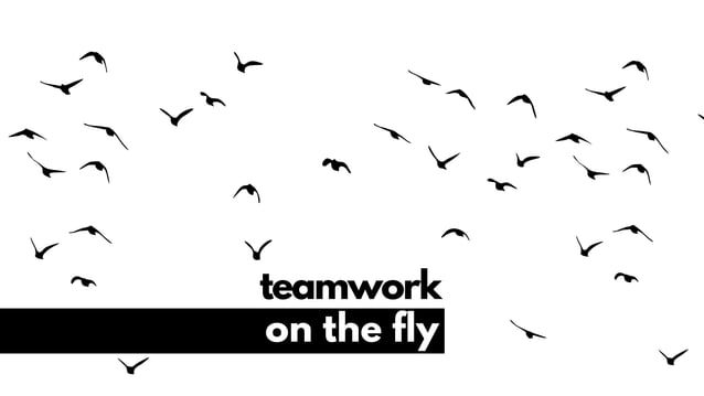 Teamwork on the fly presentation. Teaming | PPT