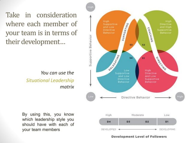 Team management | PDF | Executive Leadership & Management | Business