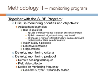 Team Mangrove Pre-proposal Presentation | PPTX