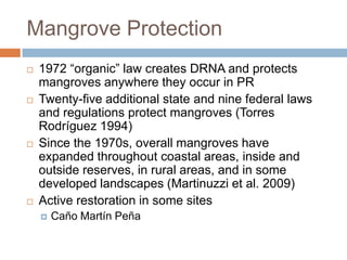 Team Mangrove Pre-proposal Presentation | PPTX