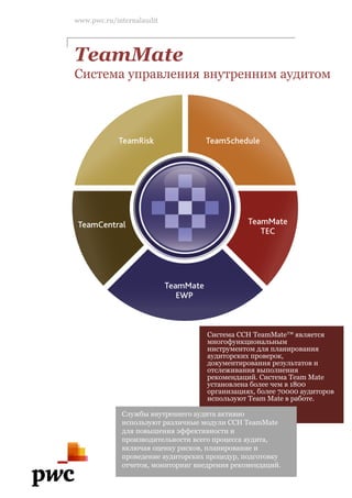 TeamMate Internal Audit software overview for Russian customers | PDF