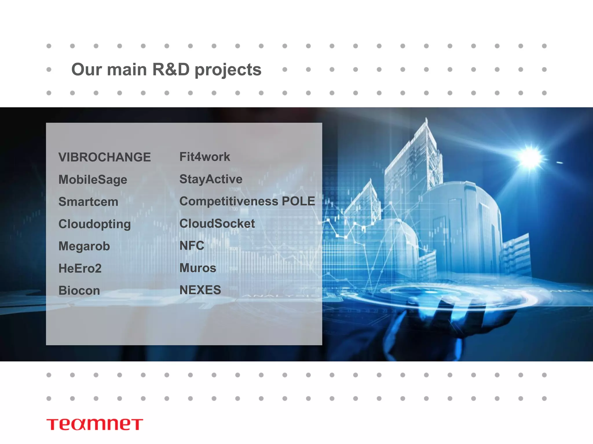 Teamnet Group - Structure of the Group | PDF