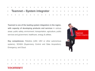 Teamnet Group - Structure of the Group | PPT