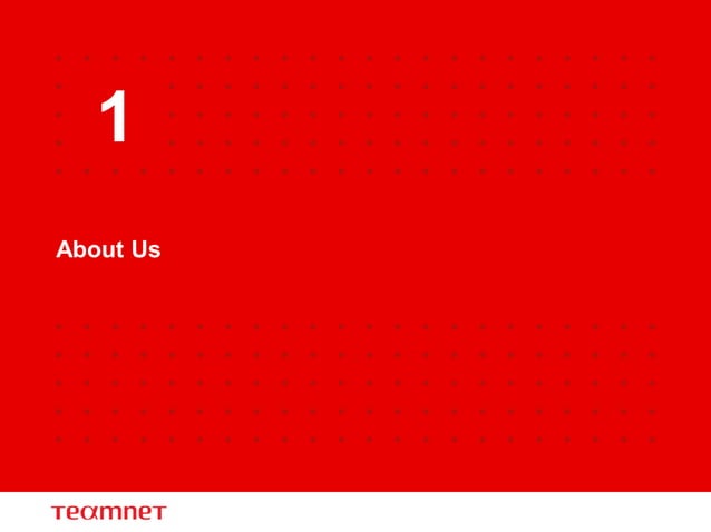 Teamnet Group - Structure of the Group | PPT