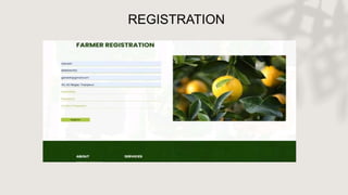 TEAM NO 11 AGRI CHAT BOTfggtgfhgfffnjhgjnhjnhjnhjnhj.pptx