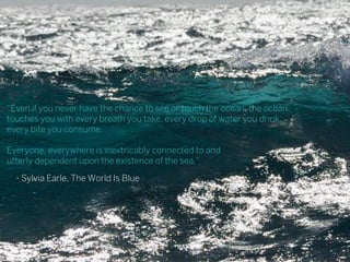 Team Ocean Watch full presentation | PDF