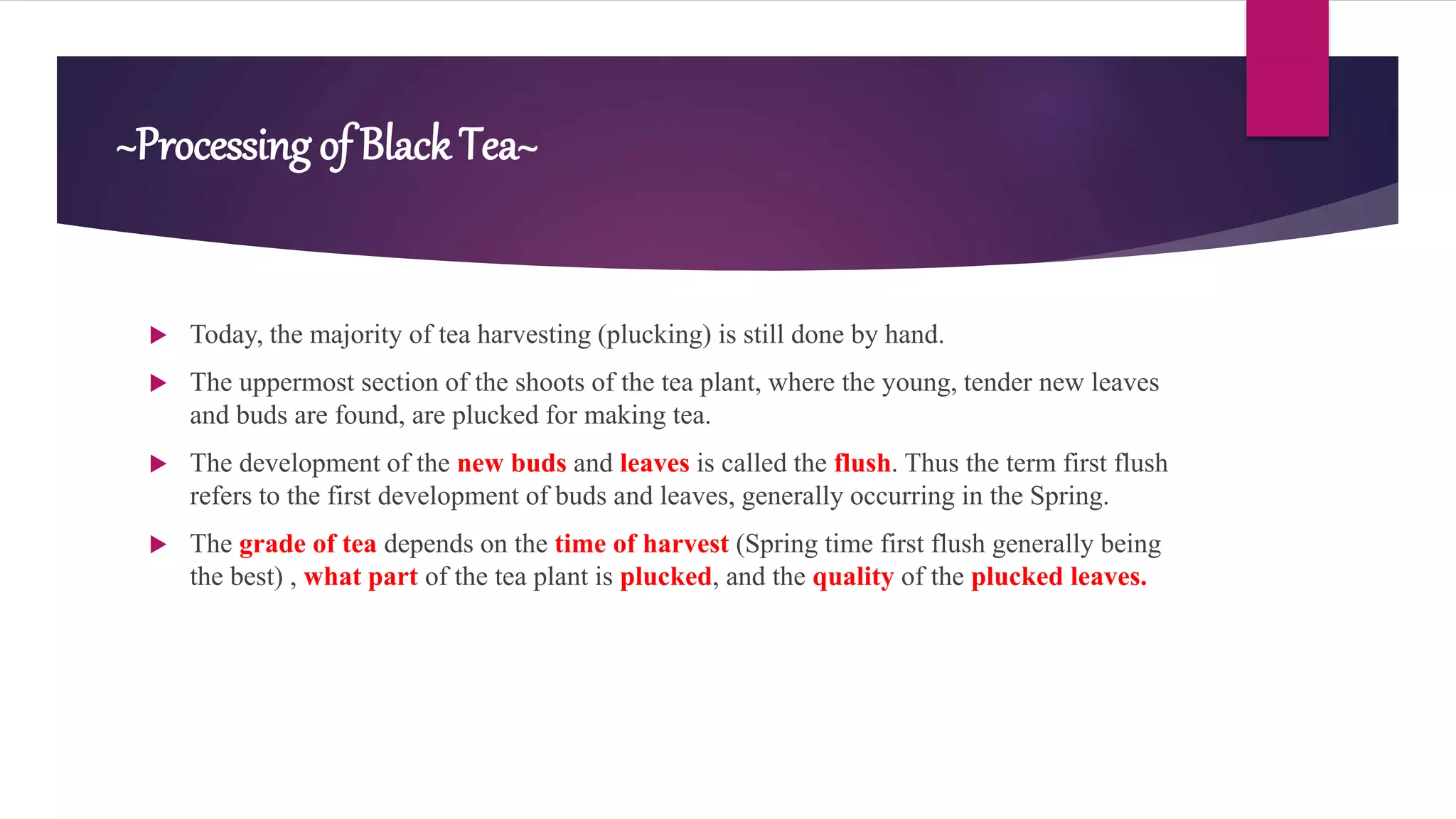 Types of Tea and their Processing Methods | PPTX