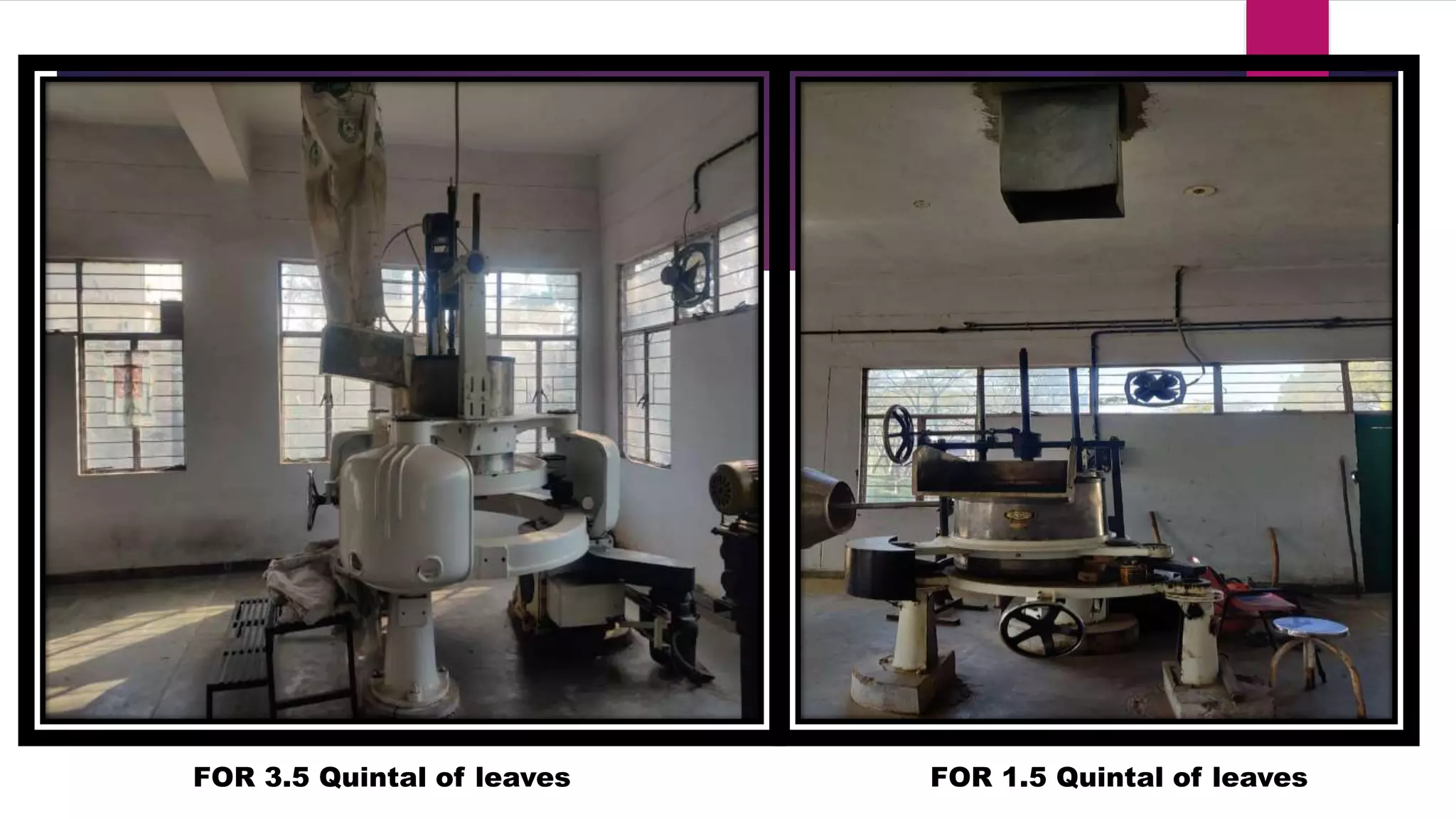 Types of Tea and their Processing Methods | PPTX