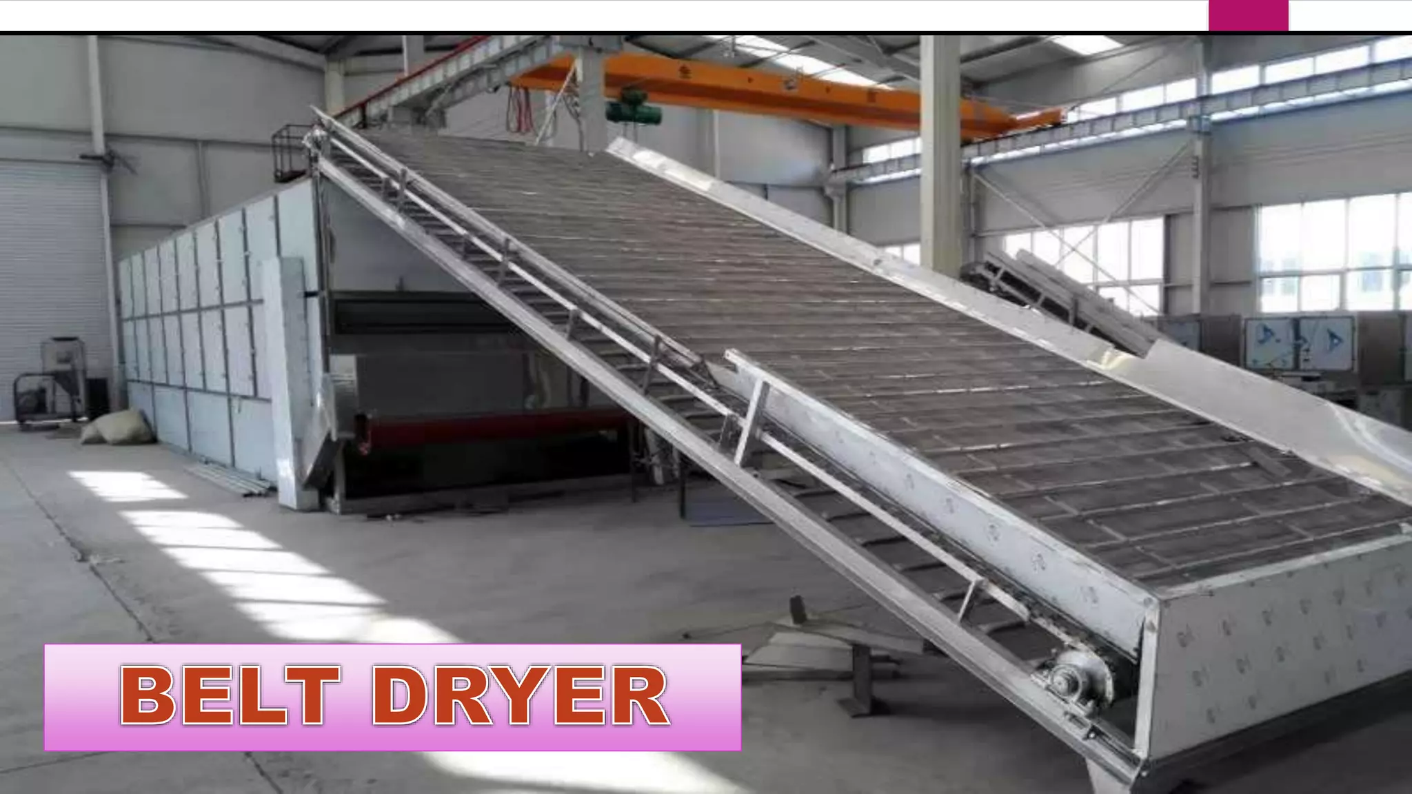 Types of Tea and their Processing Methods | PPTX