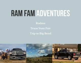 RAM Pitch Presentation | PDF