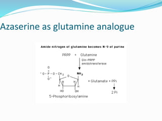 Azaserine | PPT | Free Download