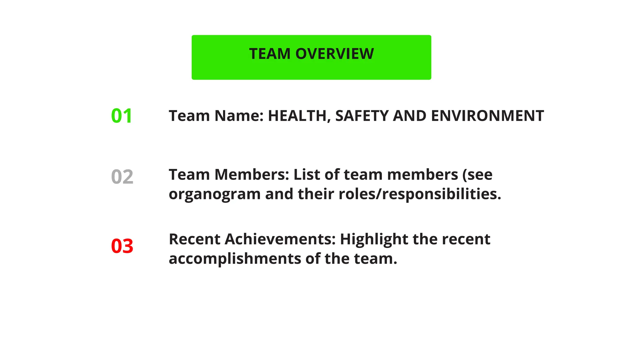 team presentation of the role and responsibility of HSE teamreviewed.pptx