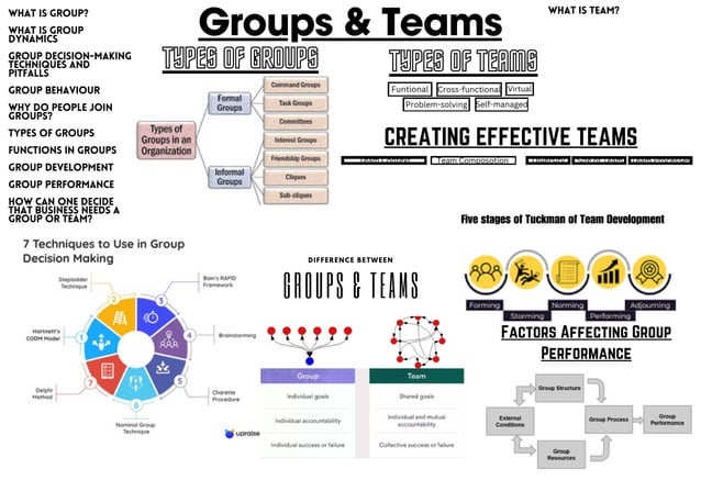 Understanding Groups and Teams: Dynamics, Development, and Performance | PDF
