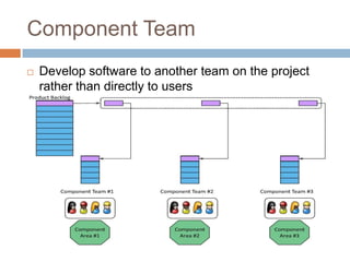 Team structure | PPT