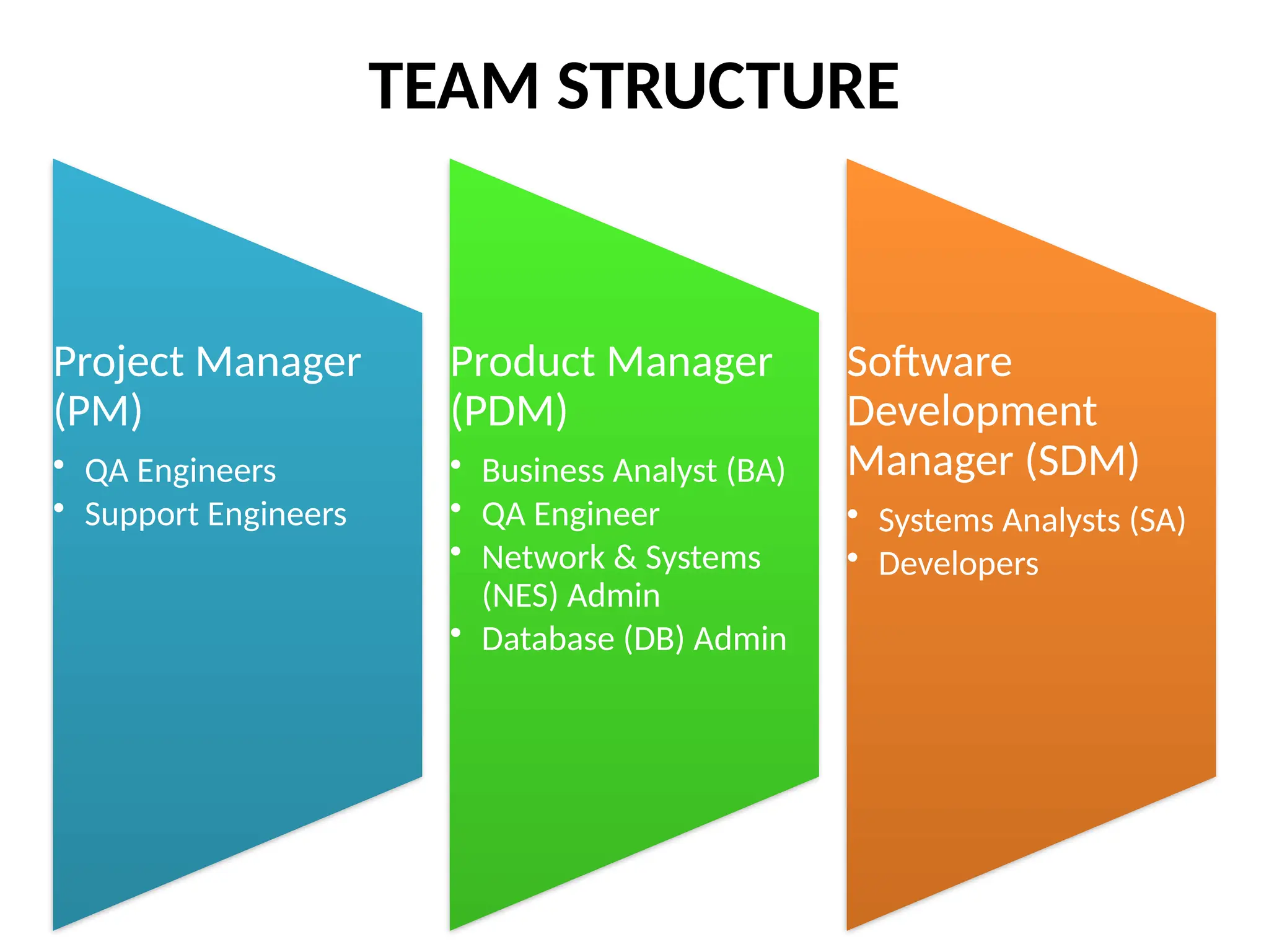 Team Structure for software company complete sdlc | PPT